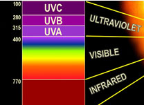 UV Light Exposure in the Workplace - Novus Light Today