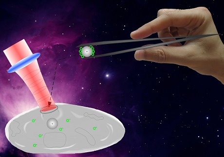 Laser Method Inserts DNA into a Single Living Cell - Novus Light Today