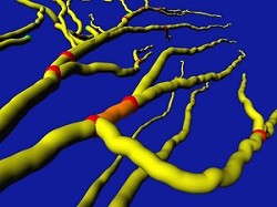 Bitplane Launches Imaris 7.7 Software - Novus Light Today