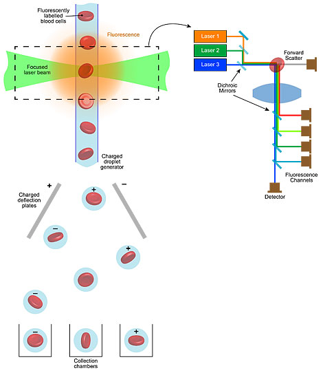 Simplifying Flow Cytometry and Other Bio-instrumentation Applications ...