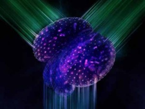 3D Microscope Visualizes Fast Biological Processes Better than Ever ...