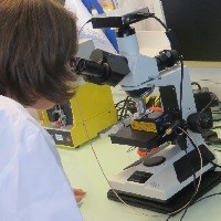 Nanoparticle Tracking Analysis Used to Study Nano-Emulsions - Novus ...