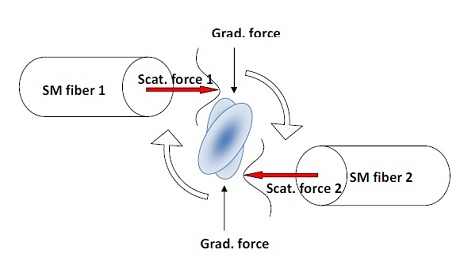 A New Twist on Microscopic Manipulation - Novus Light Today