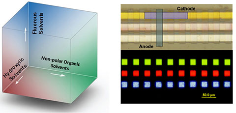 Trends in OLED manufacturing - Novus Light Today