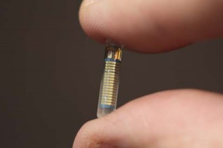 Implantable Optical Sensors Bring Artificial Pancreas a Step Closer ...