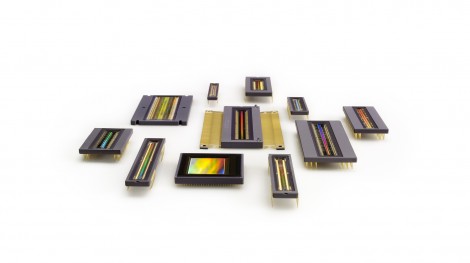 Leading Lights: Teledyne DALSA - Novus Light Today