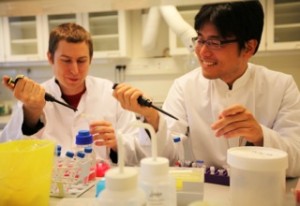 Light-Emitting Nanocluster DNA Probe Aids Rapid Disease Detection ...
