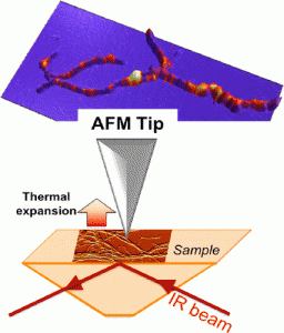 Infrared Atomic Force Microscopy Used in Biofuel Production - Novus ...